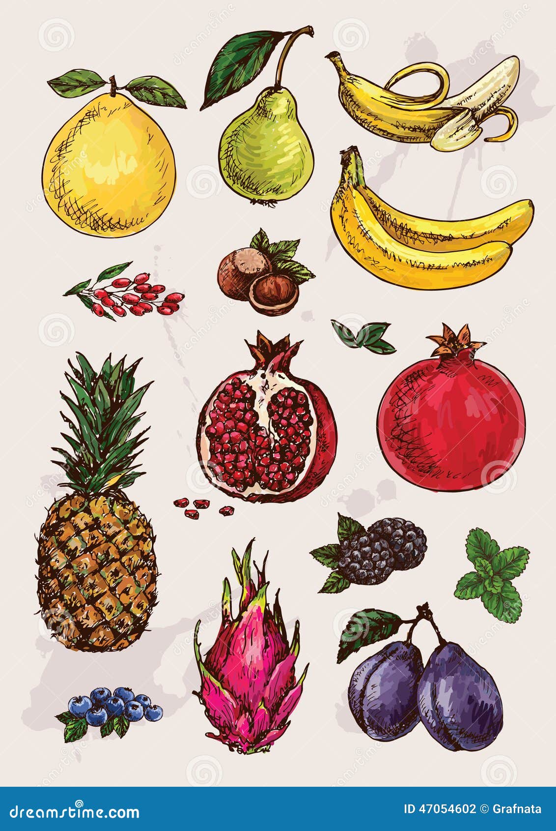 Collection of Hand Drawing Fruits Stock Vector - Illustration of mint ...