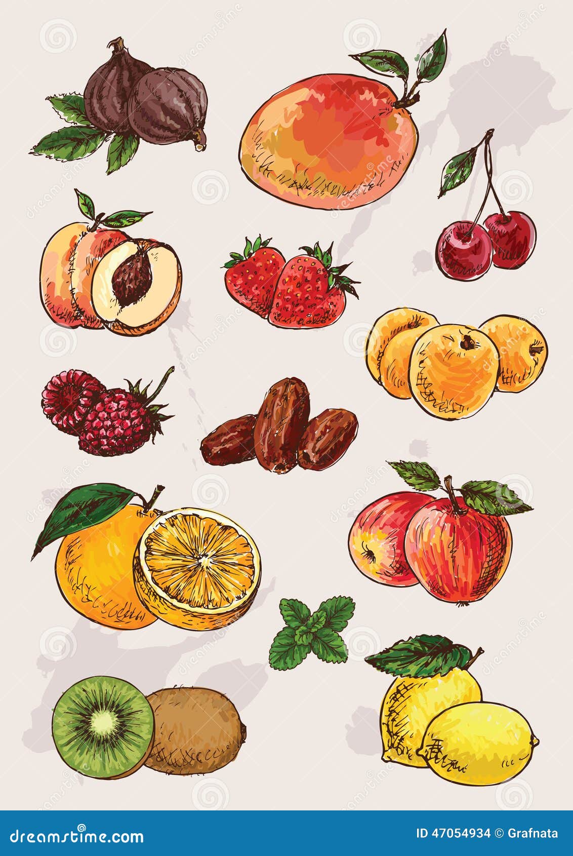 Collection of Hand Drawing Fruits Stock Vector - Illustration of design ...