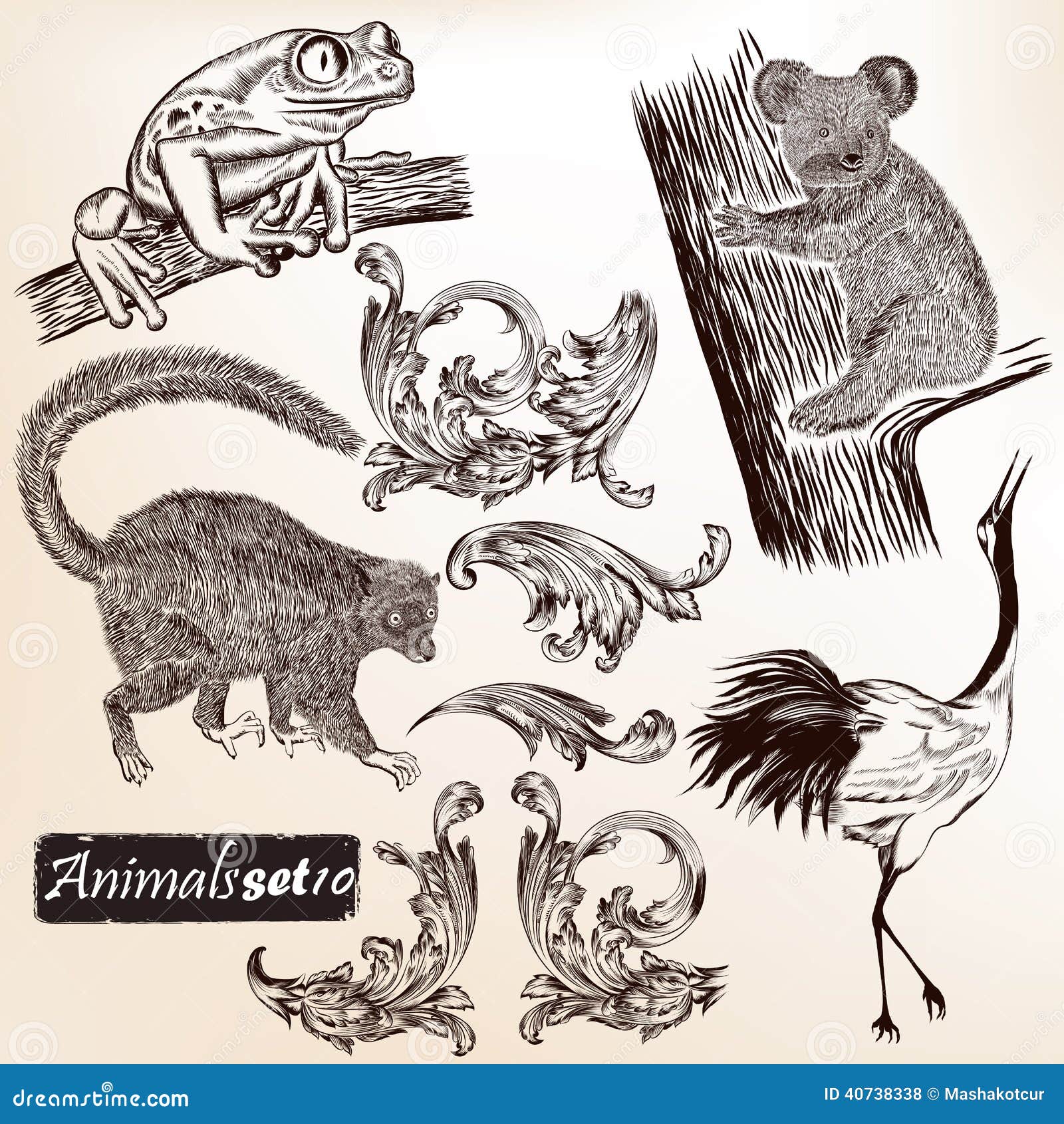 Collection of Hand Drawn Animals and Swirls Stock Vector - Illustration ...