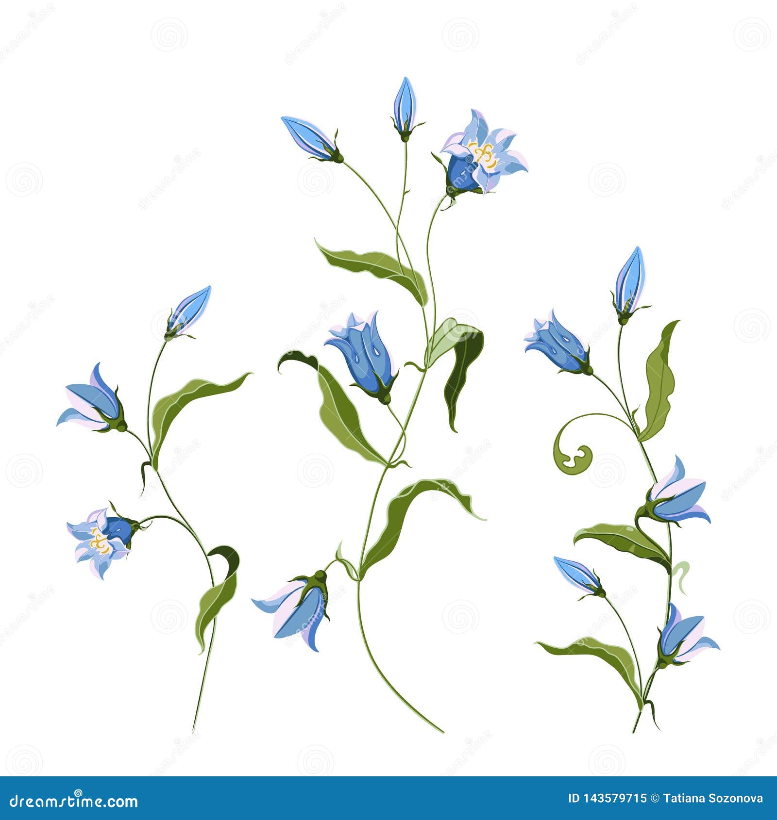 Collection of Hand Drawn Blue Bell Flower, Composition Stock Vector ...