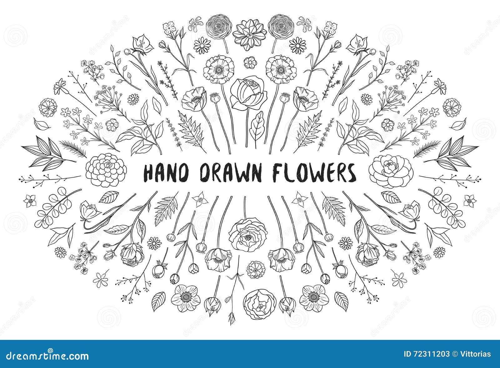 Collection of Hand Drawn Floral Elements Stock Vector - Illustration of ...