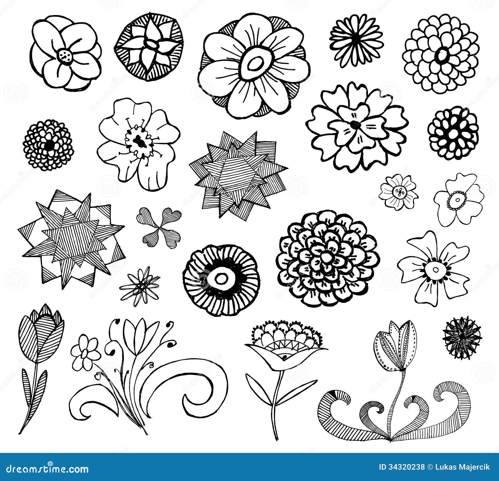 Collection of Hand Drawn Flowers Stock Vector - Illustration of ...
