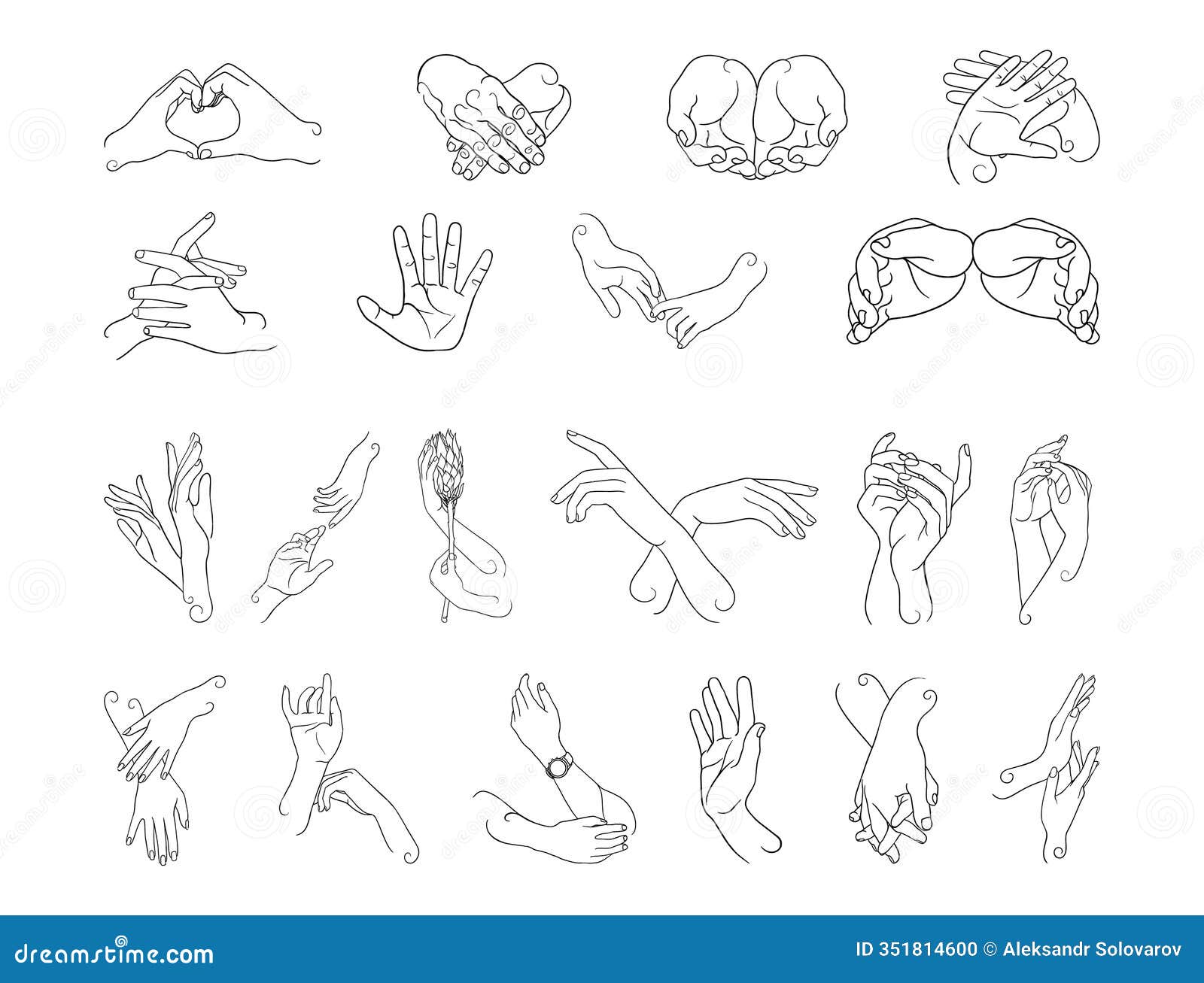 Collection of Hand Drawn Illustrations of Hands in Various Positions ...