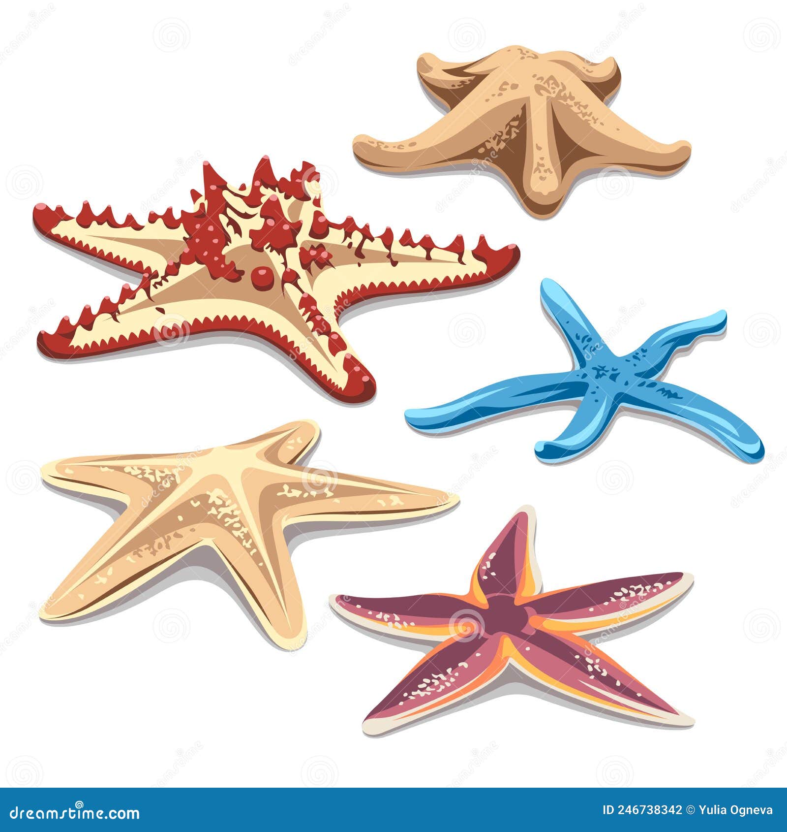 Collection of Hand Drawn Starfish. Vector Illustration. Summer Design ...