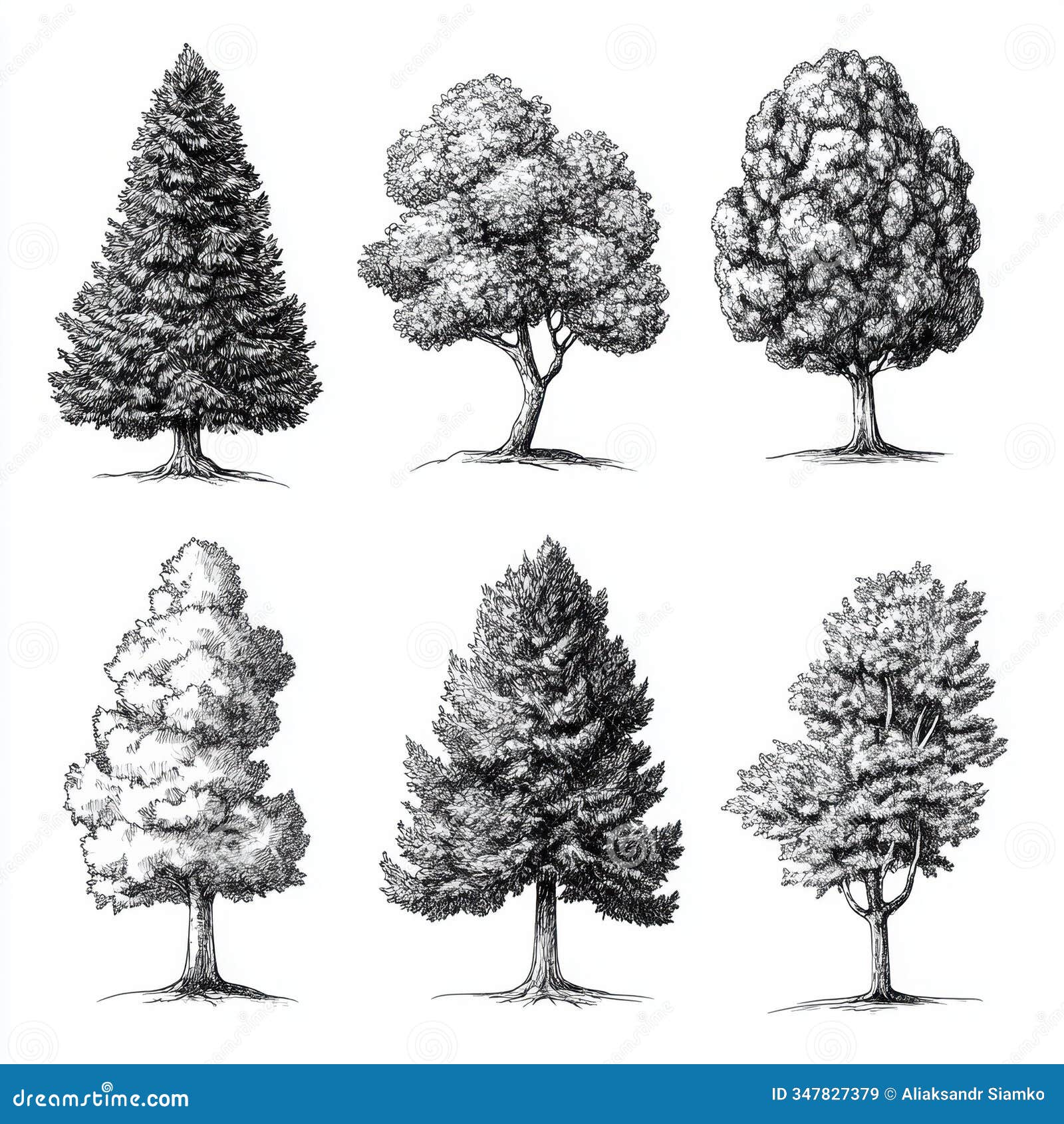 Collection of Hand-drawn Tree Illustrations in Various Styles Stock ...