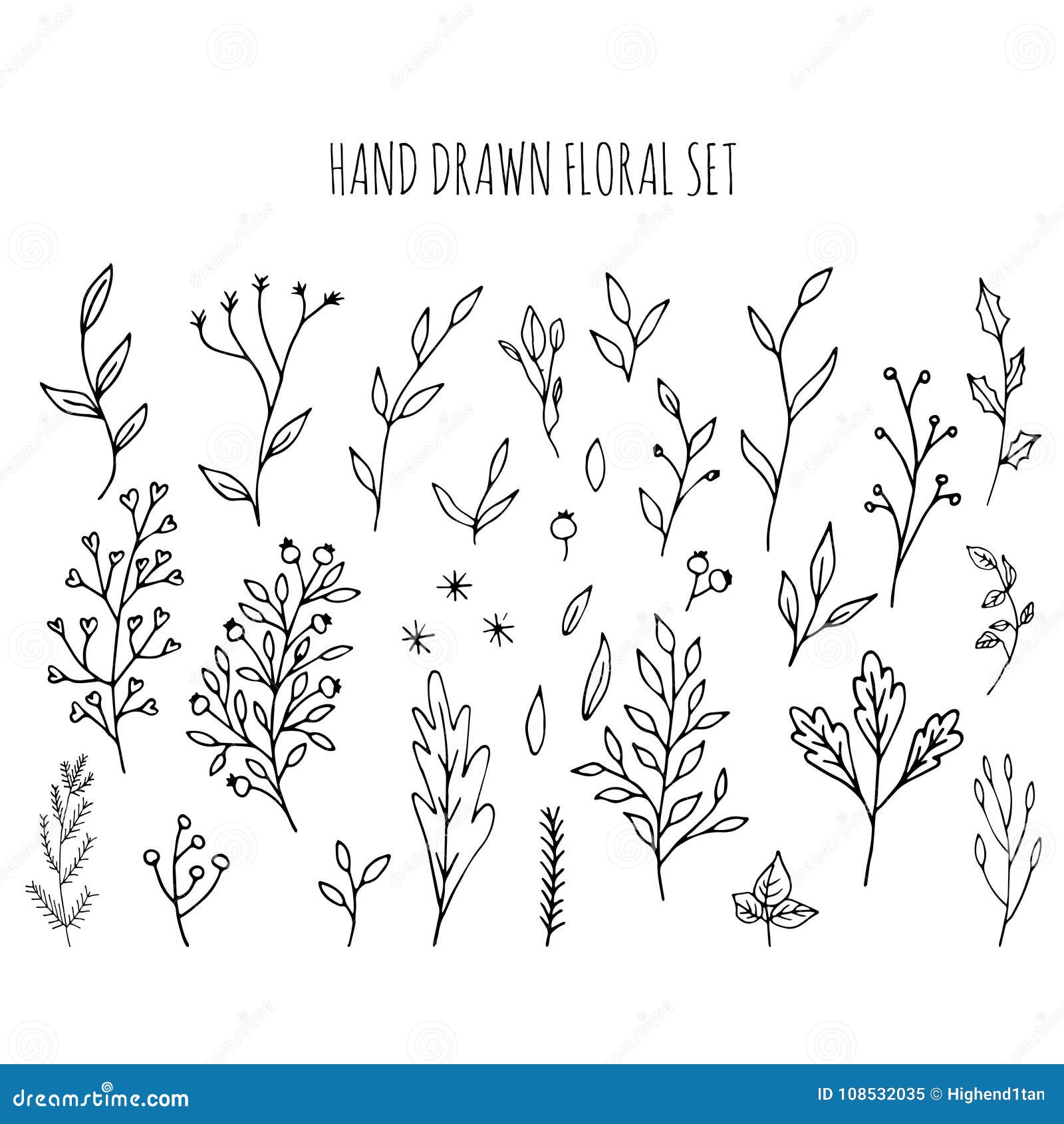 Collection of Hand Drawn Vector Florals and Branches with Leaves Stock ...