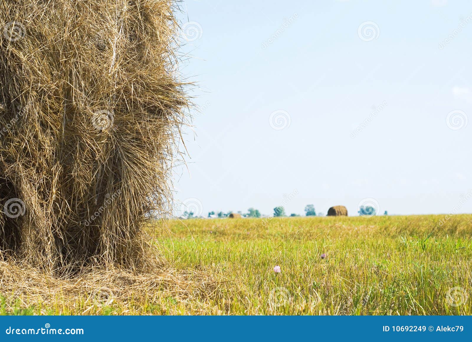Collection of hay in bales stock image. Image of field - 10692249