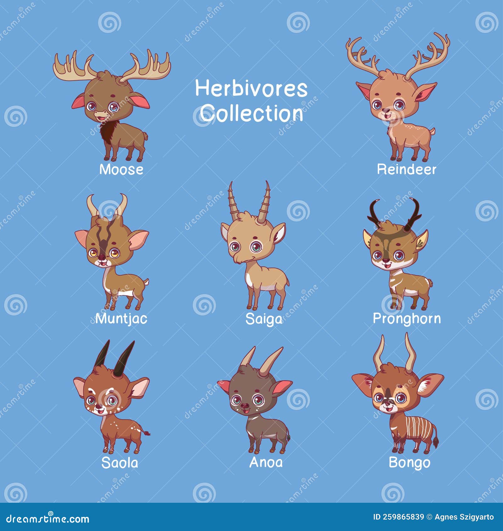 Collection of Herbivore Animals with Name Text Stock Vector ...