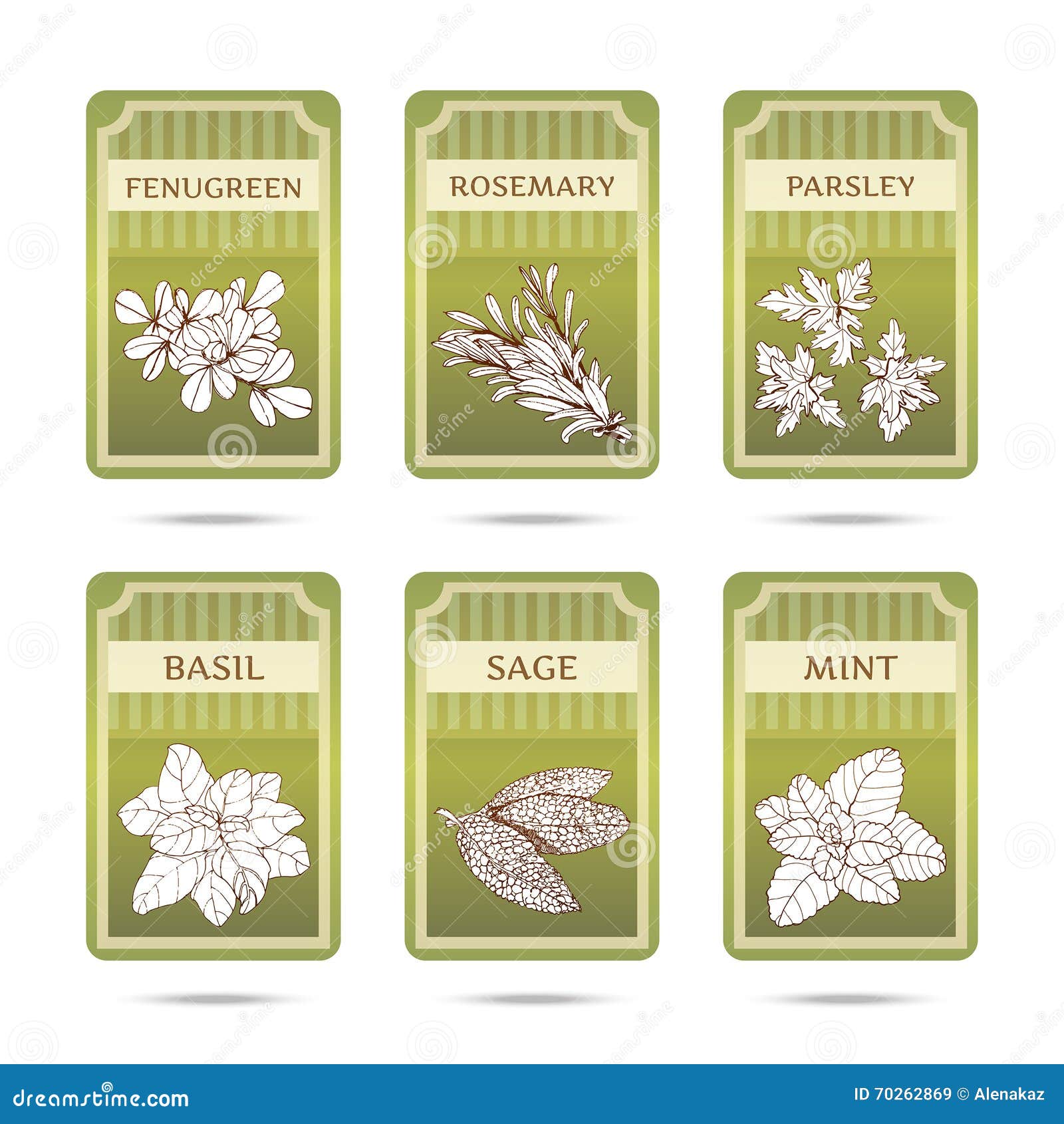 Collection of herbs labels stock vector. Illustration of graphics ... Collection of herbs labels stock vector. Illustration of graphics ...
