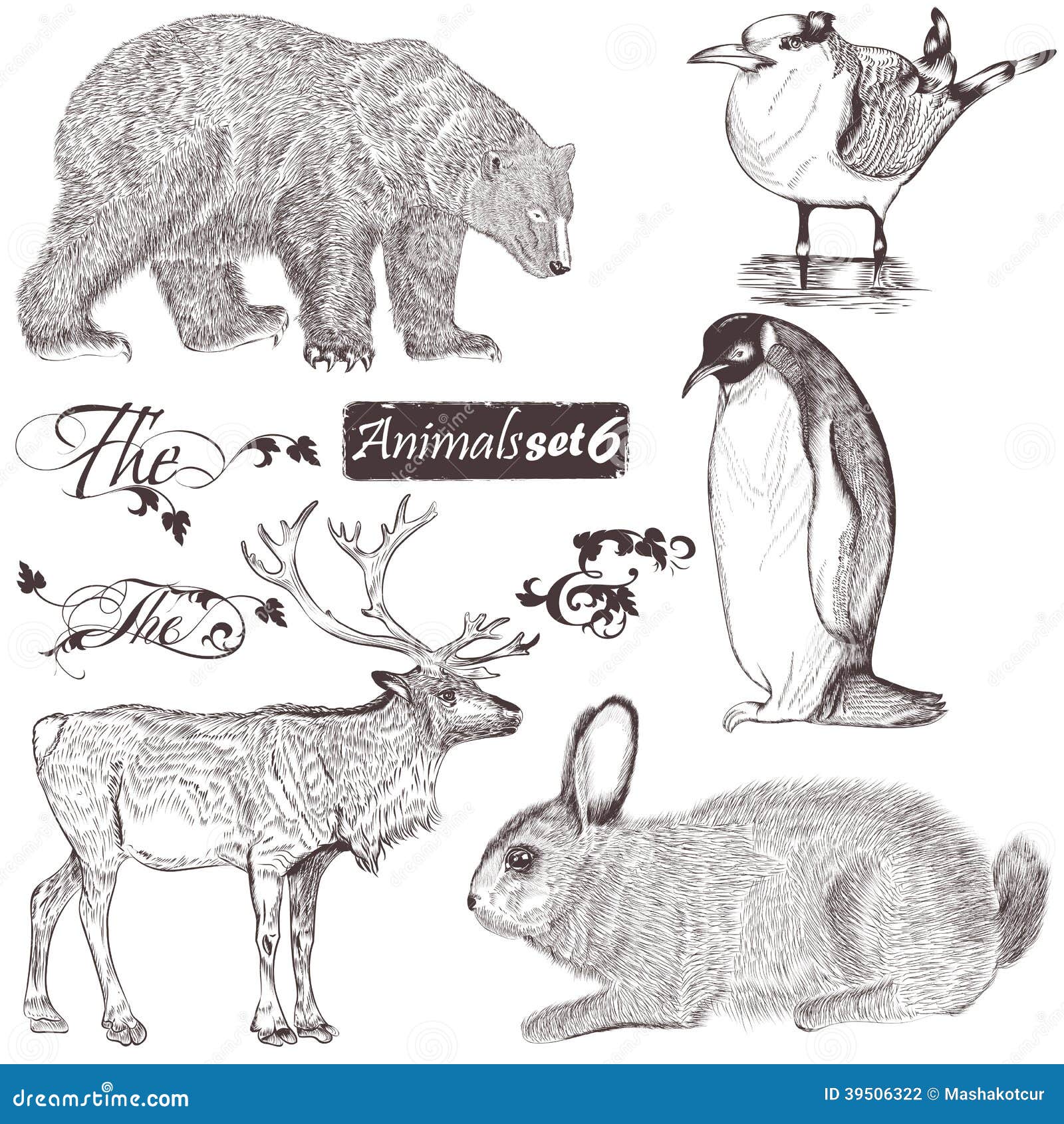 Collection of High Detailed Animals Stock Vector - Illustration of ...