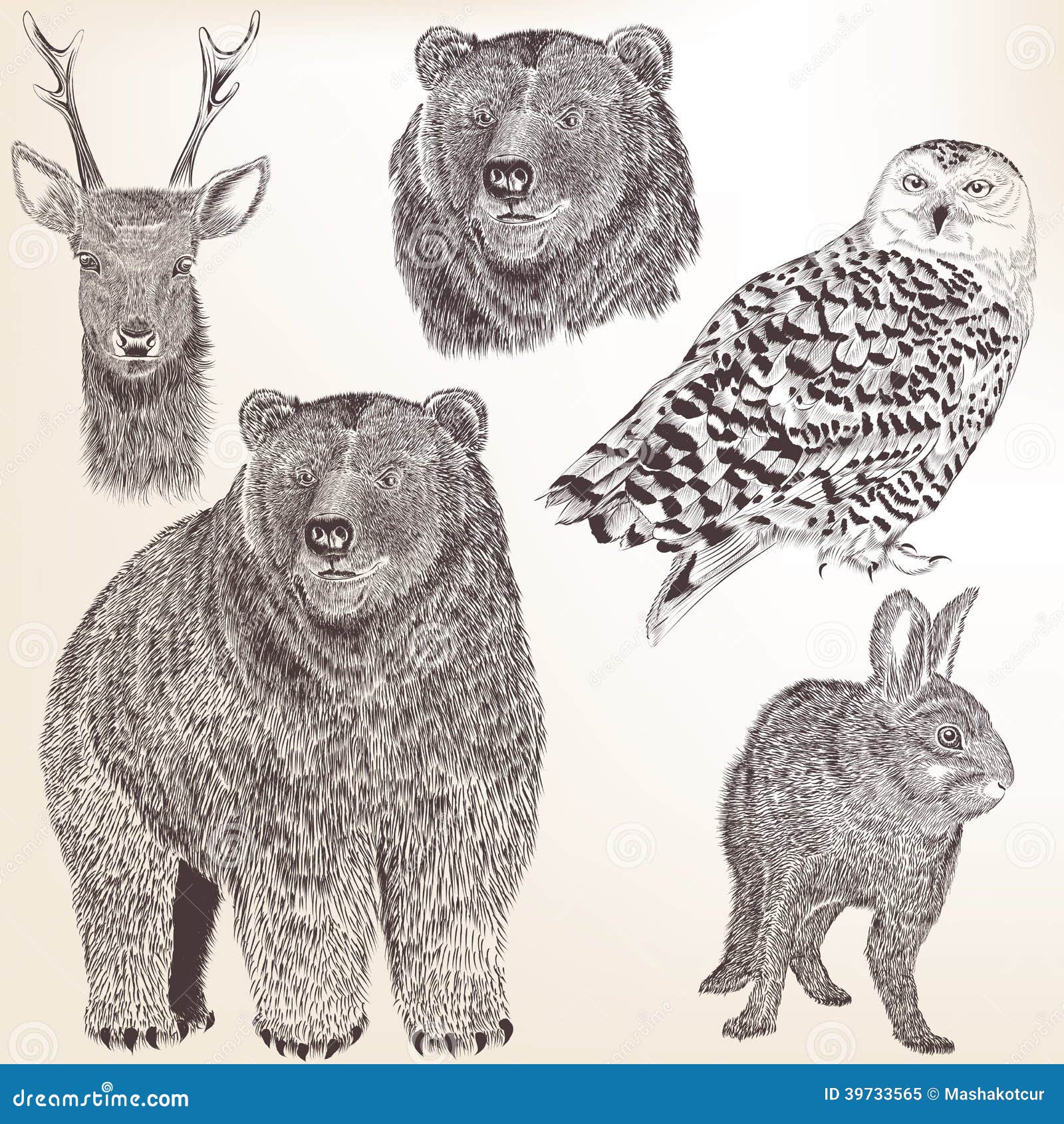 Collection of High Detailed Vector Animals for Design Stock Vector ...