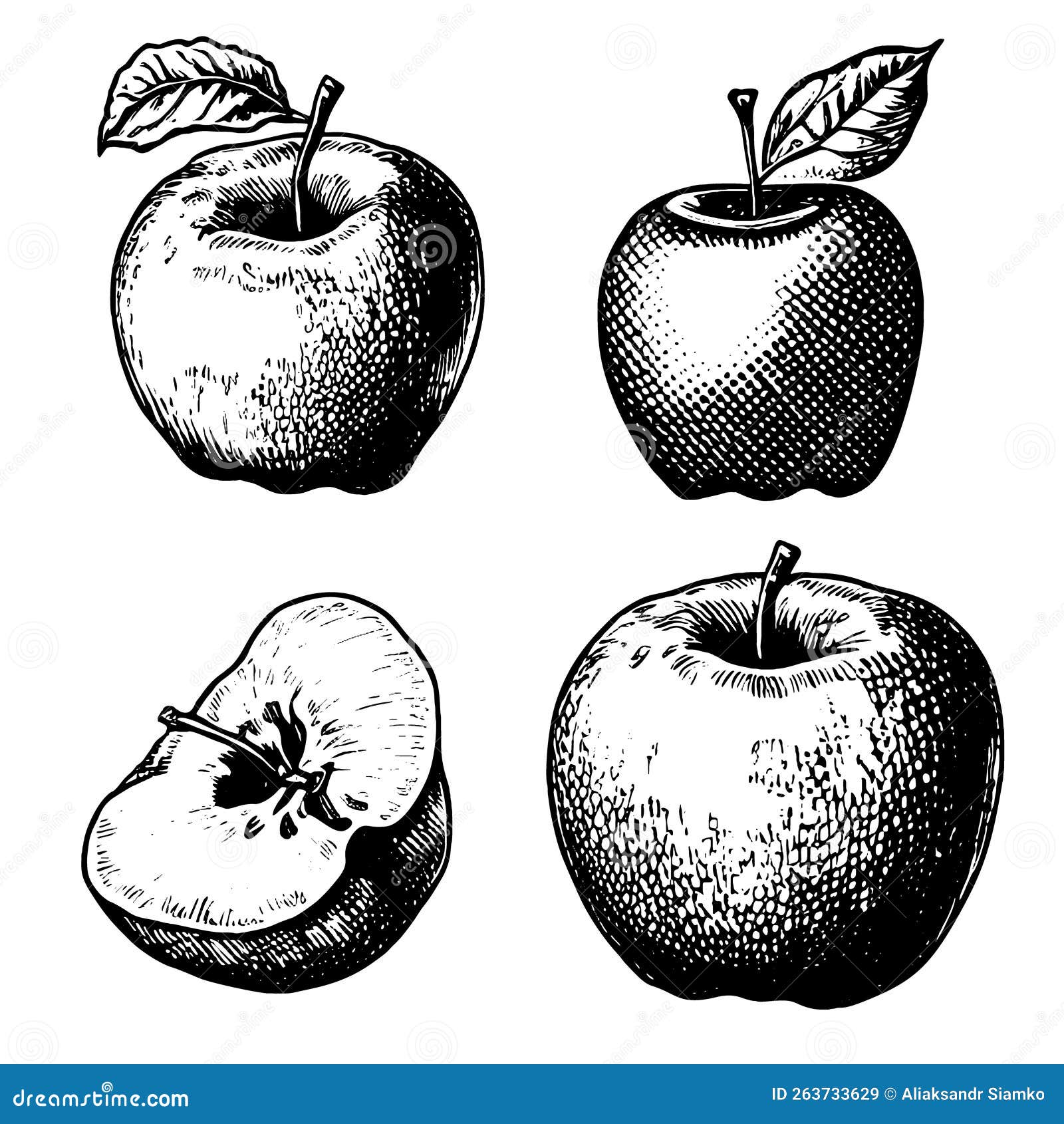 Collection of Highly Detailed Hand Drawn Apples Stock Vector ...
