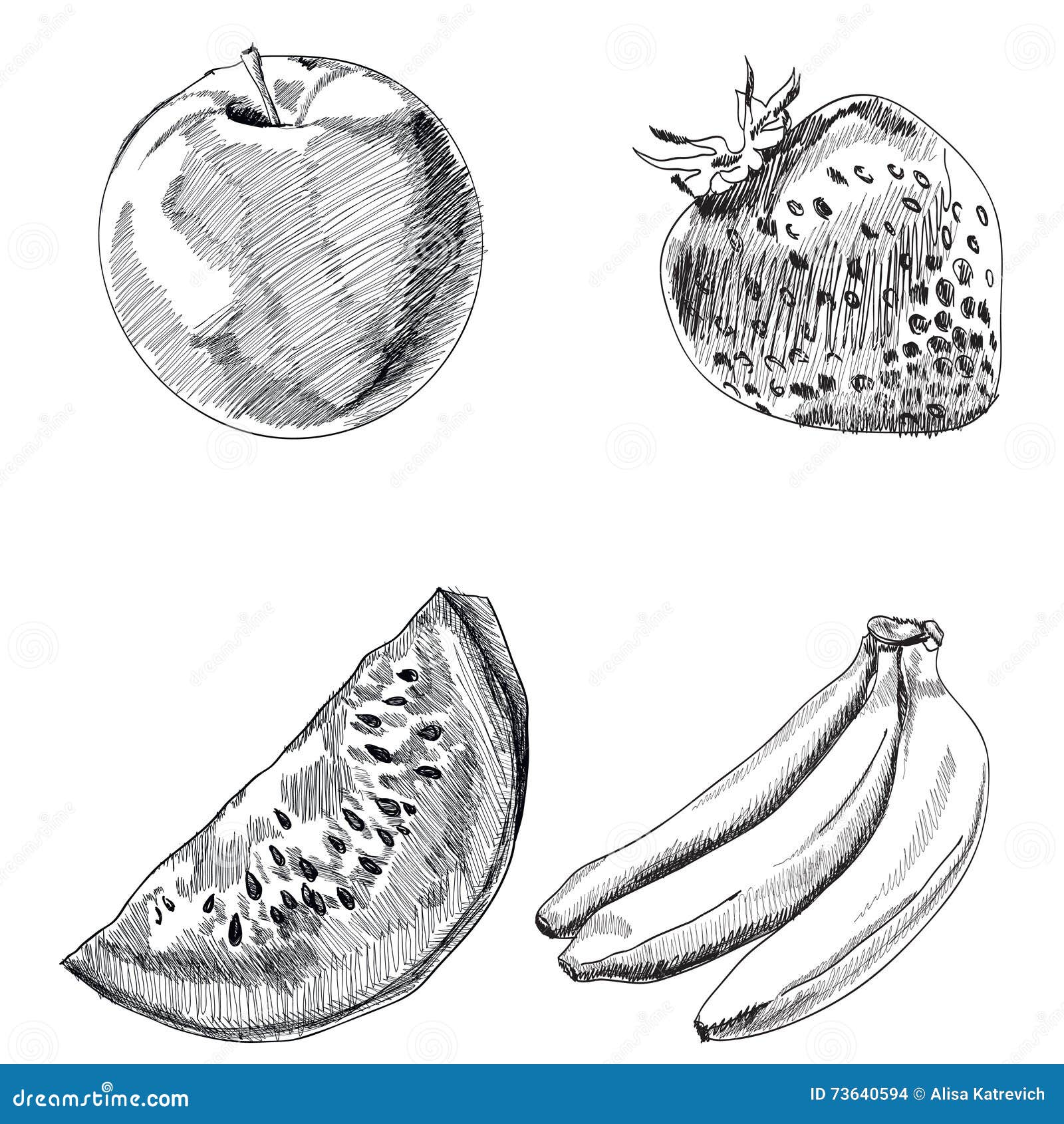 Collection of Highly Detailed Hand Drawn Fruits Set. Vector Stock ...