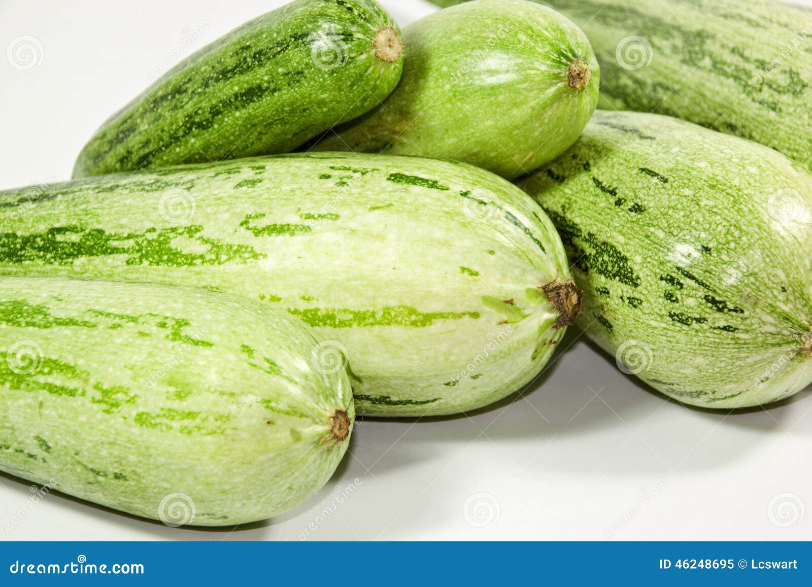 Collection of Home Grown Variegated Baby Marrows Stock Image - Image of ...