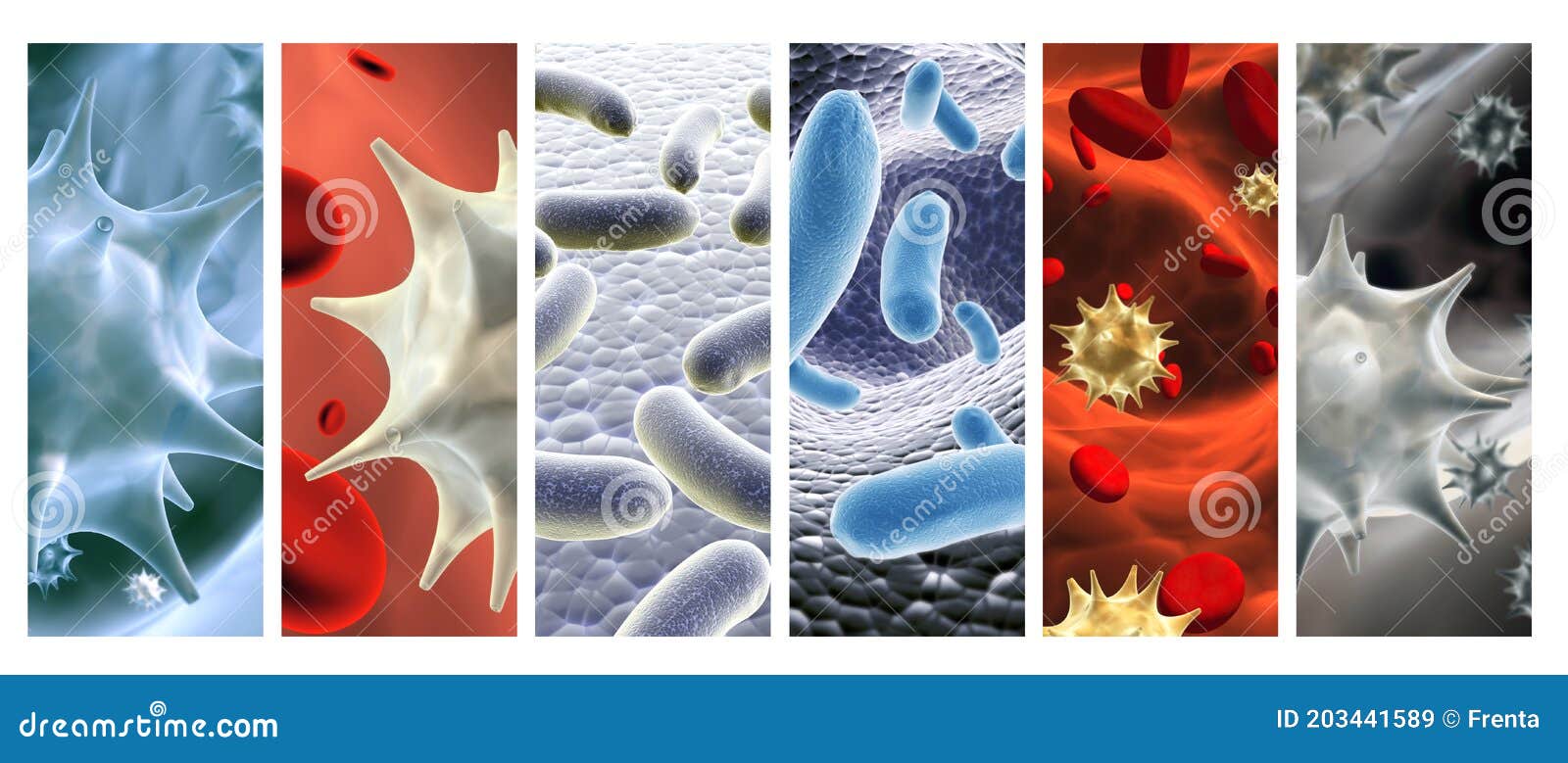 Set of Horizontal Banners with Pathogenic Bacterias and Viruses Stock ...