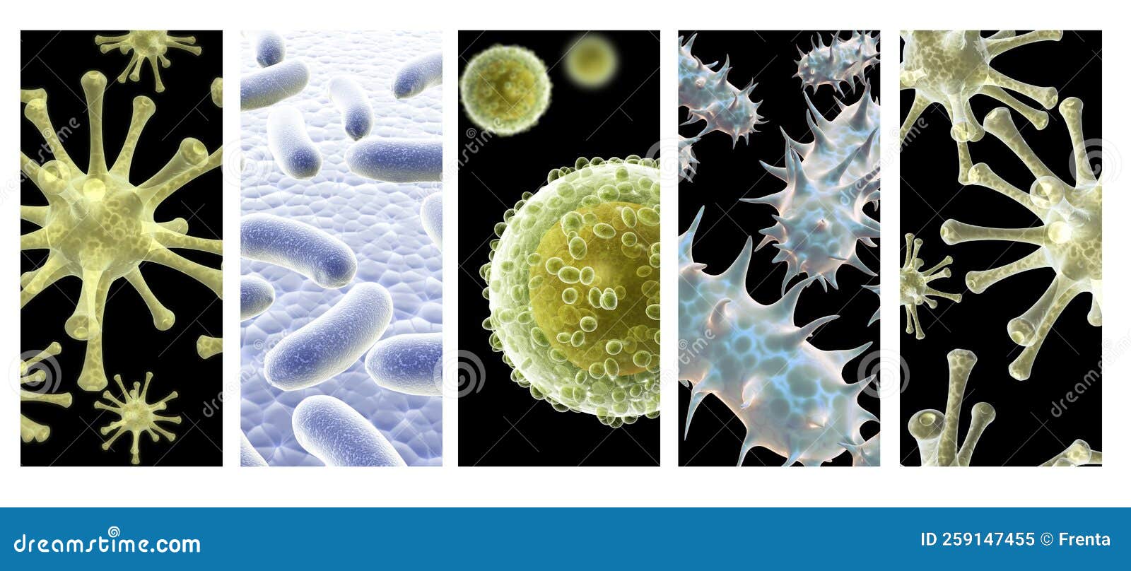 Set of Horizontal or Vertical Banners with Pathogenic Bacterias and ...
