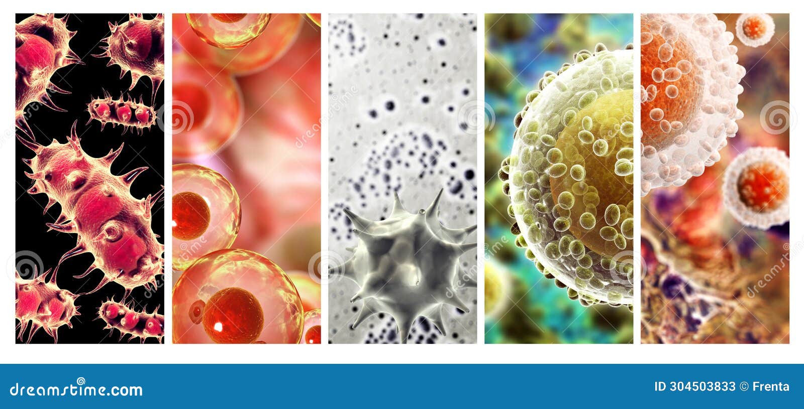 Collection of Horizontal or Vertical Banners with Pathogenic Bacterias ...