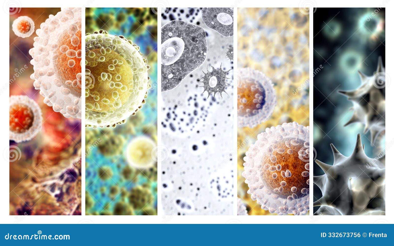 Collection of Horizontal or Vertical Banners with Pathogenic Bacterias ...