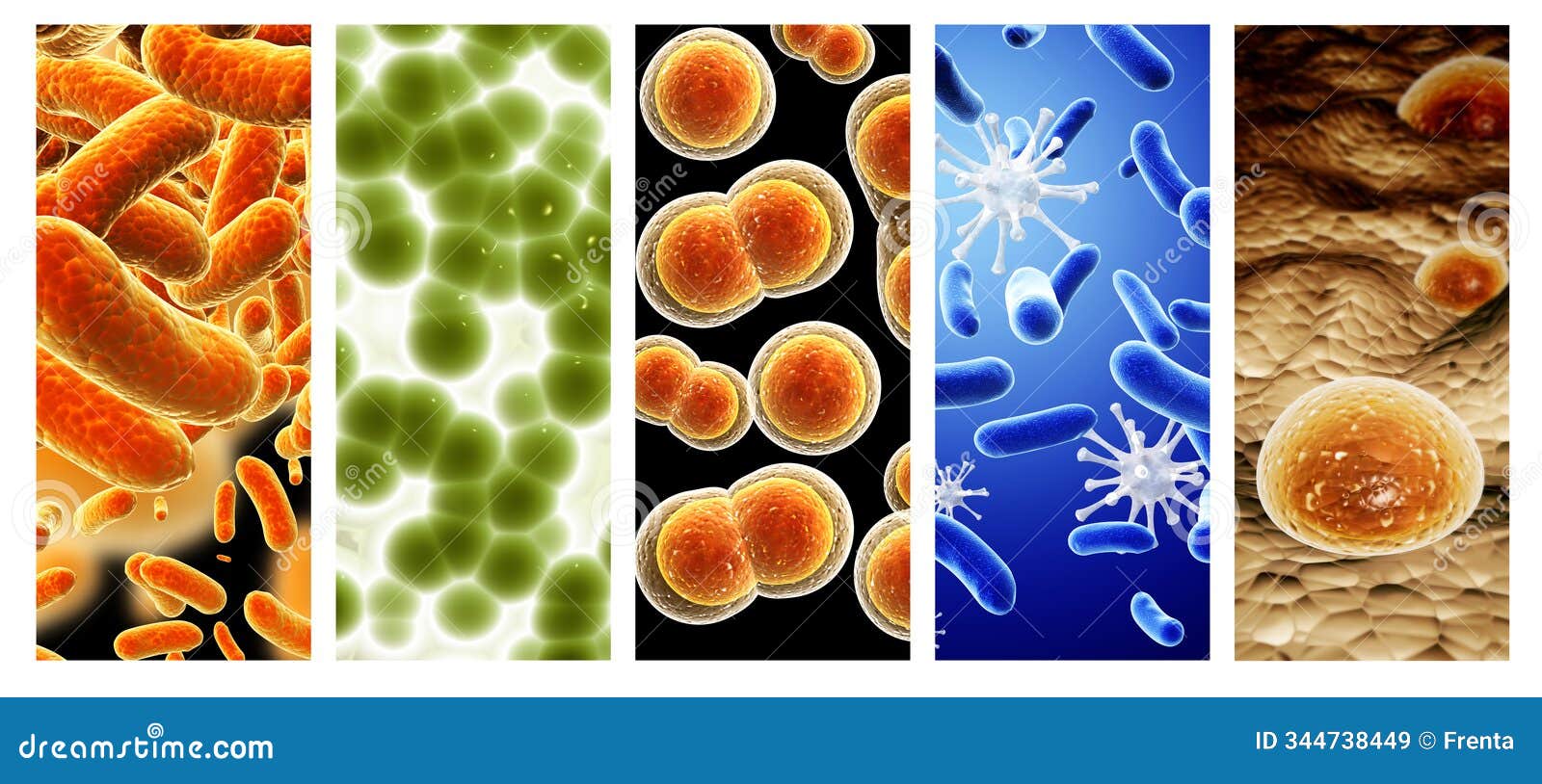 Collection of Horizontal or Vertical Banners with Pathogenic Bacterias ...