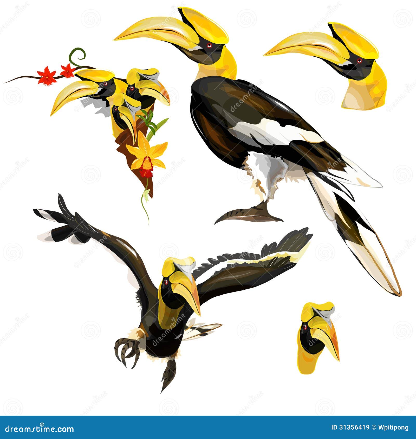 Outline Hornbill Bird. Cartoon Vector | CartoonDealer.com #96109757
