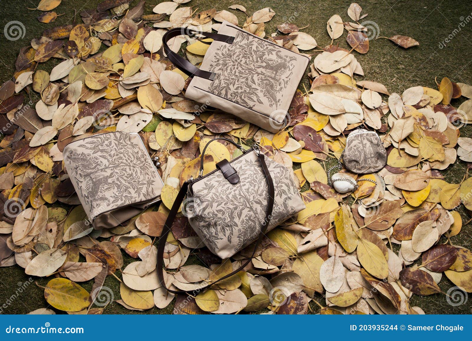 Collection of Indian Design Bags are Placed on the Ground Stock Photo ...