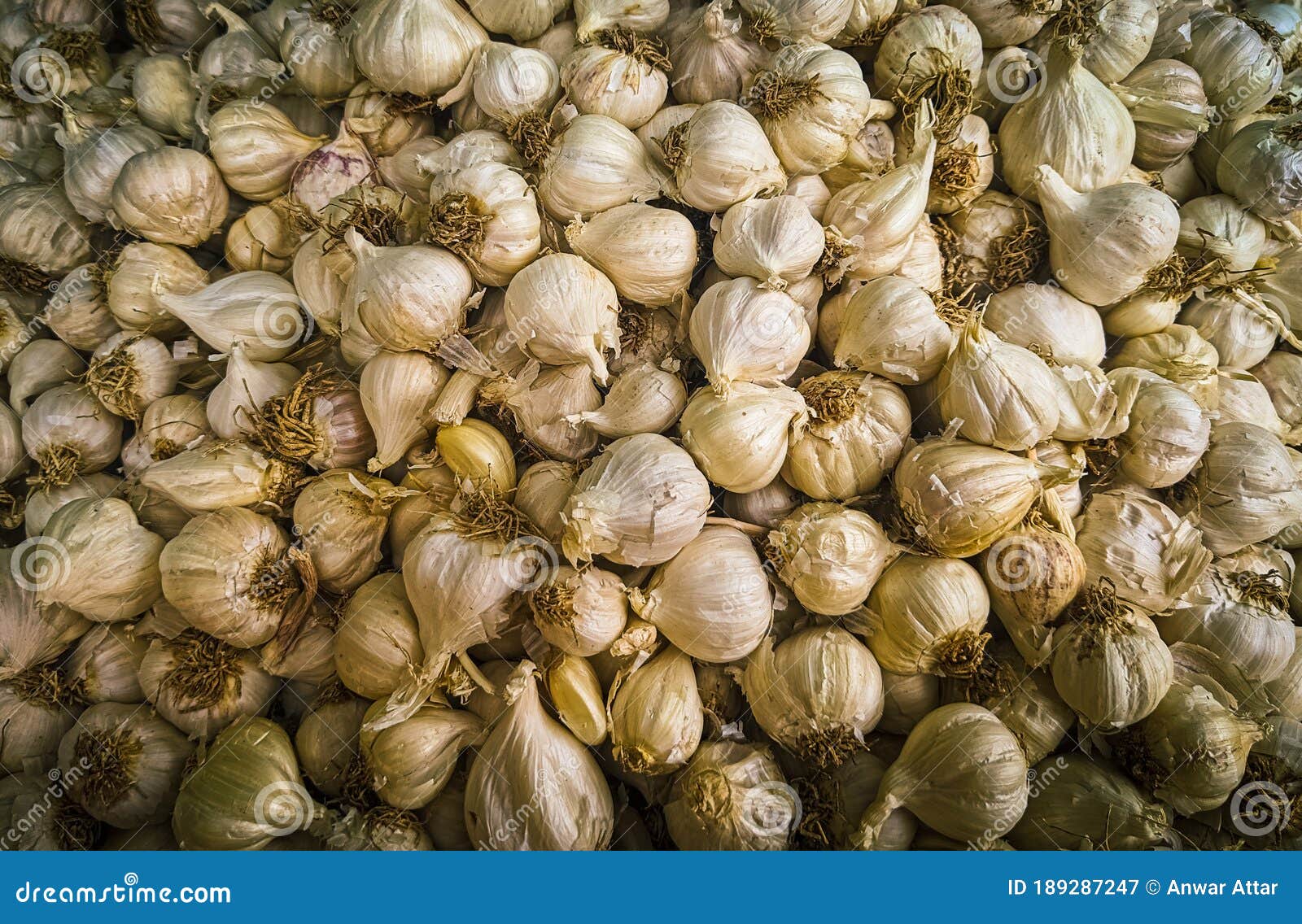 Collection of Indian Garlic in the Market. Stock Image - Image of group ...