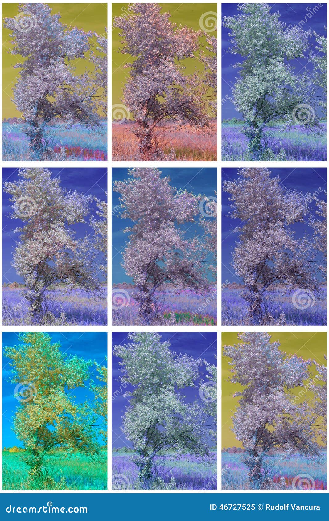 Collection of Infrared Trees Stock Image - Image of plant, collection ...
