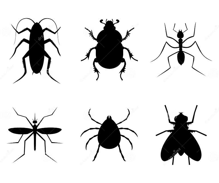 Collection insect stock vector. Illustration of portrait - 36472546