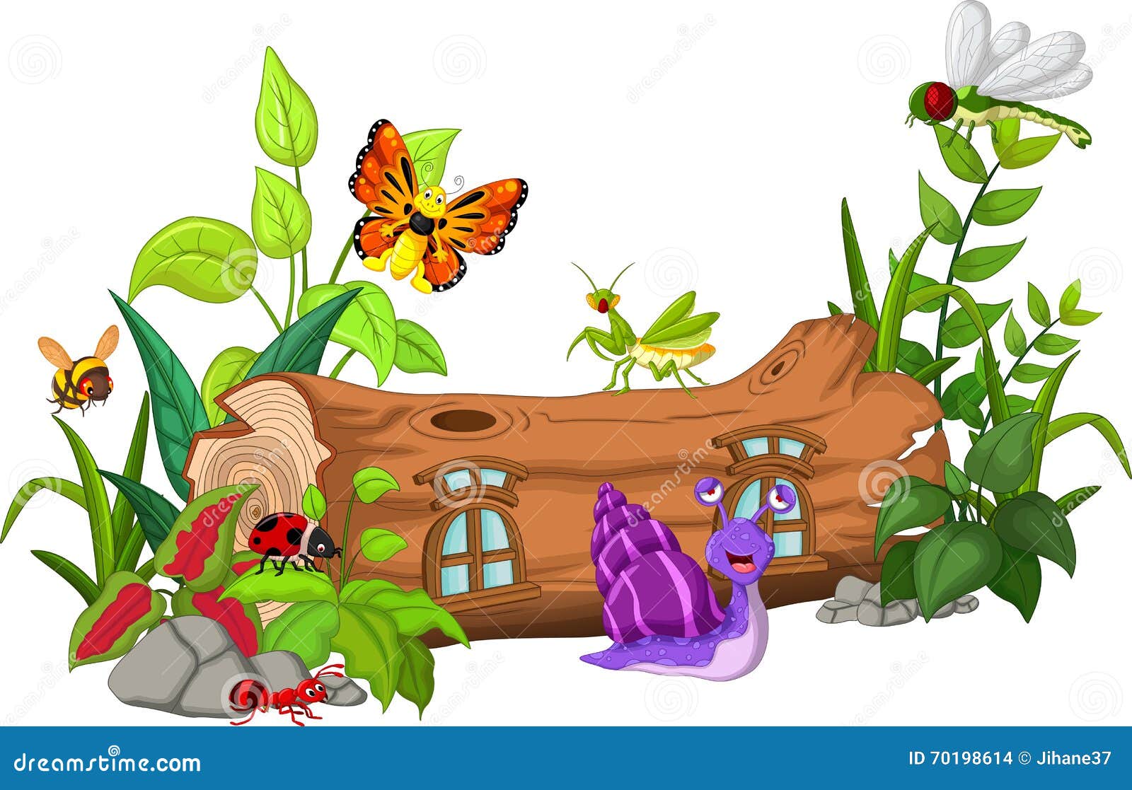 Collection of Insects Cartoon Stock Illustration - Illustration of ...