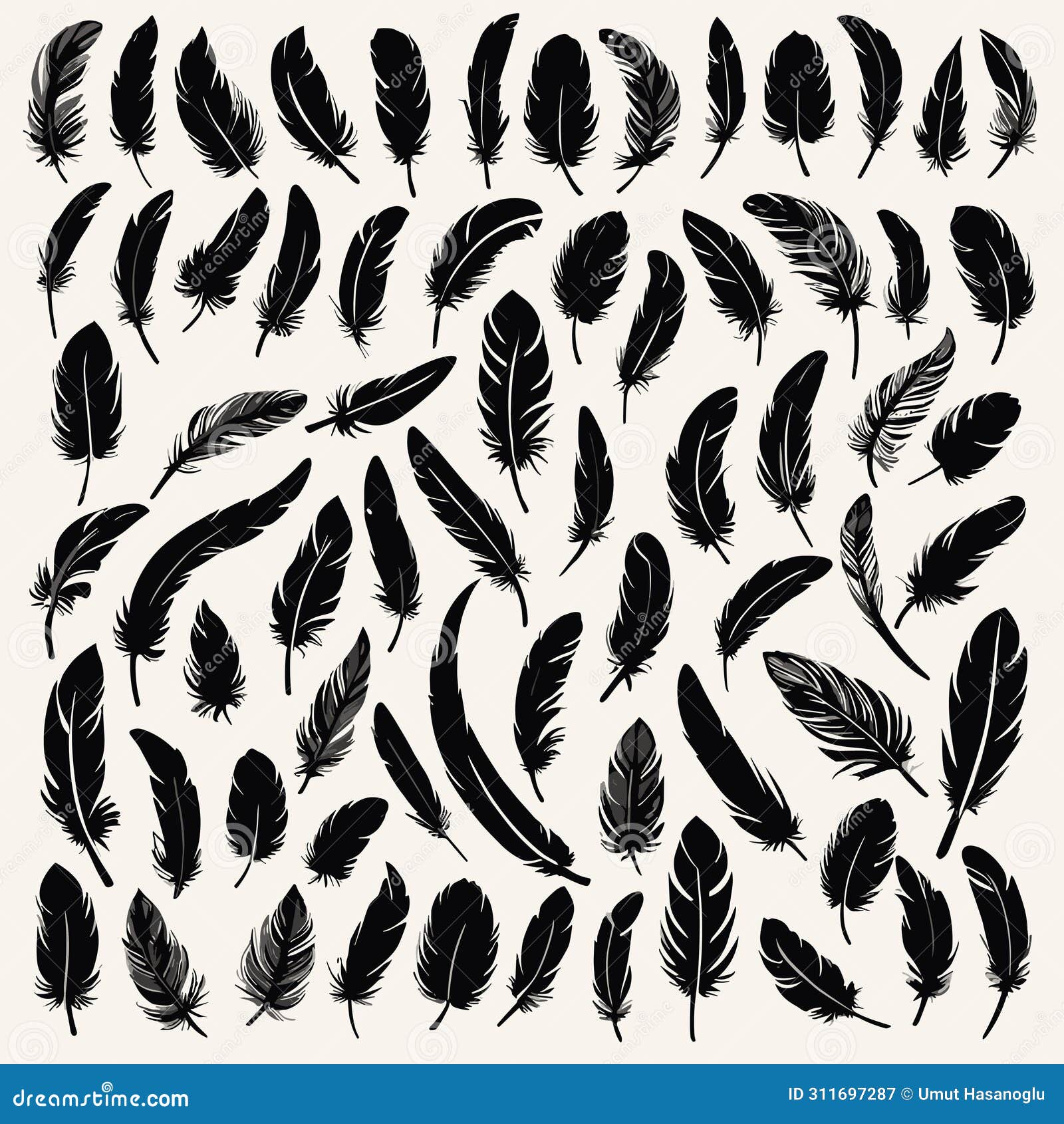 Collection of Intricate Feather Illustrations Pattern Vector Design ...