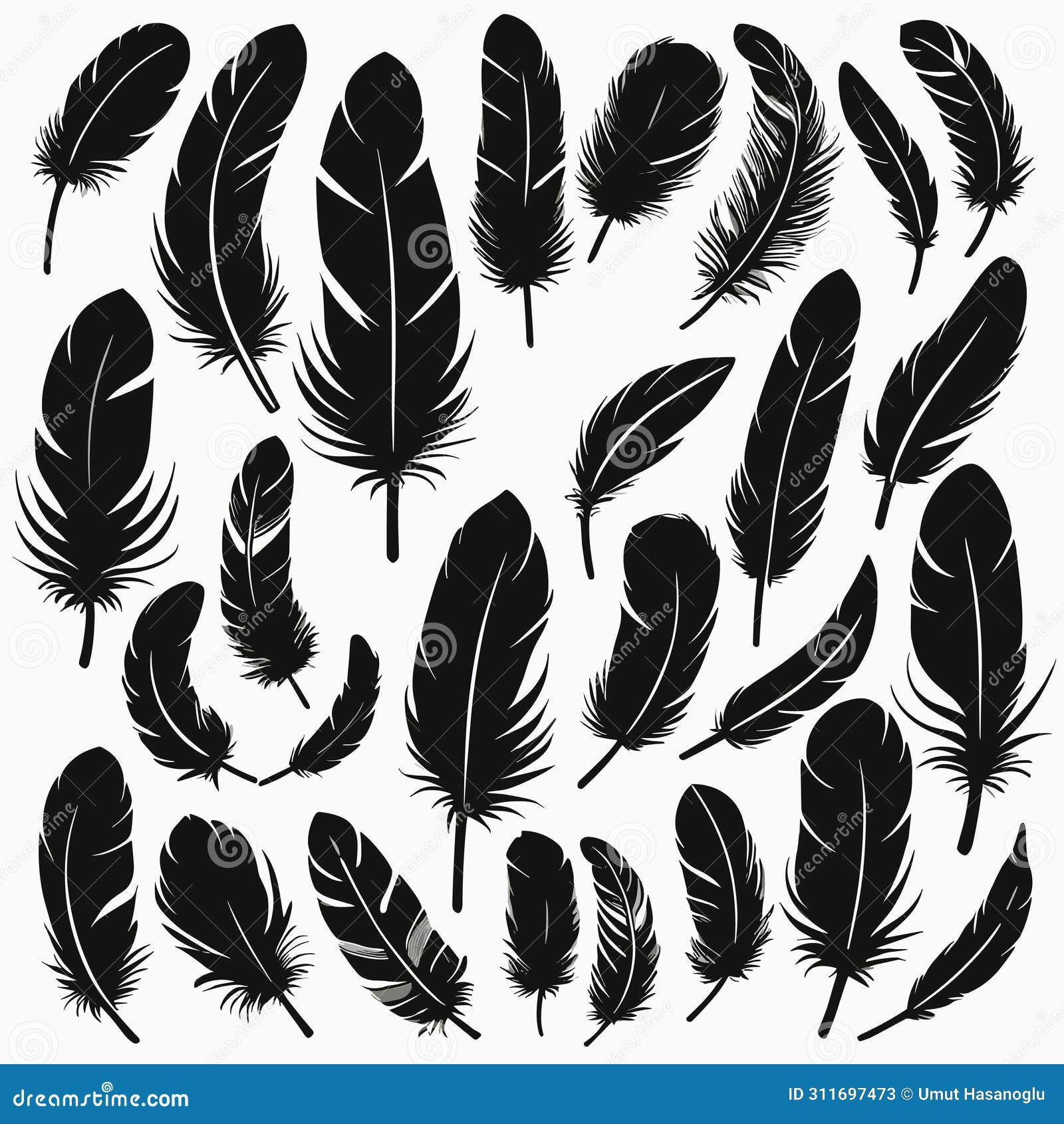 Collection of Intricate Feather Illustrations Pattern Vector Design ...