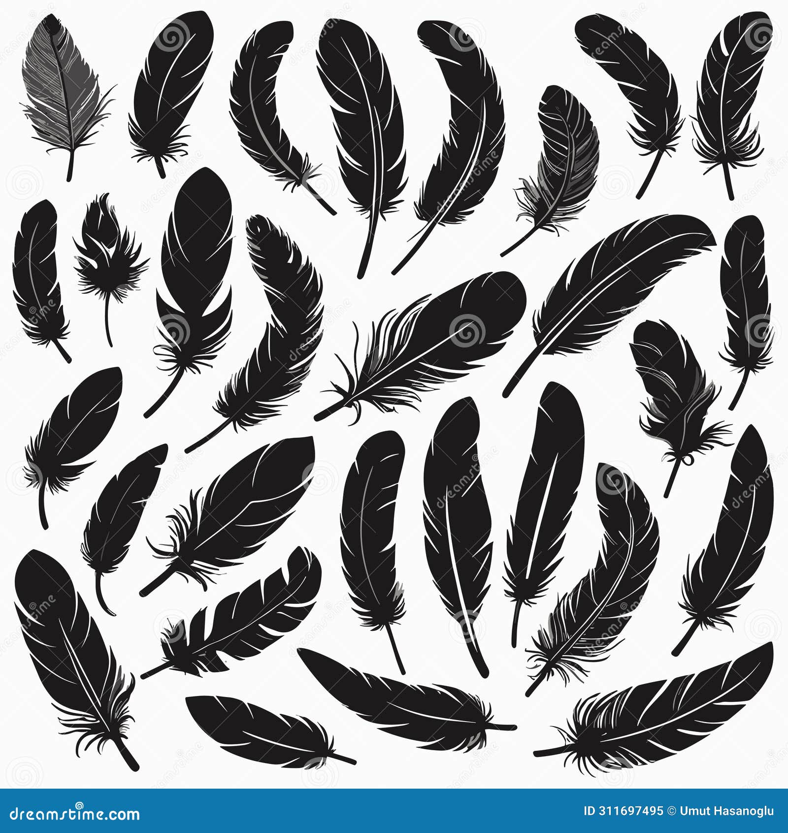 Collection of Intricate Feather Illustrations Pattern Vector Design ...