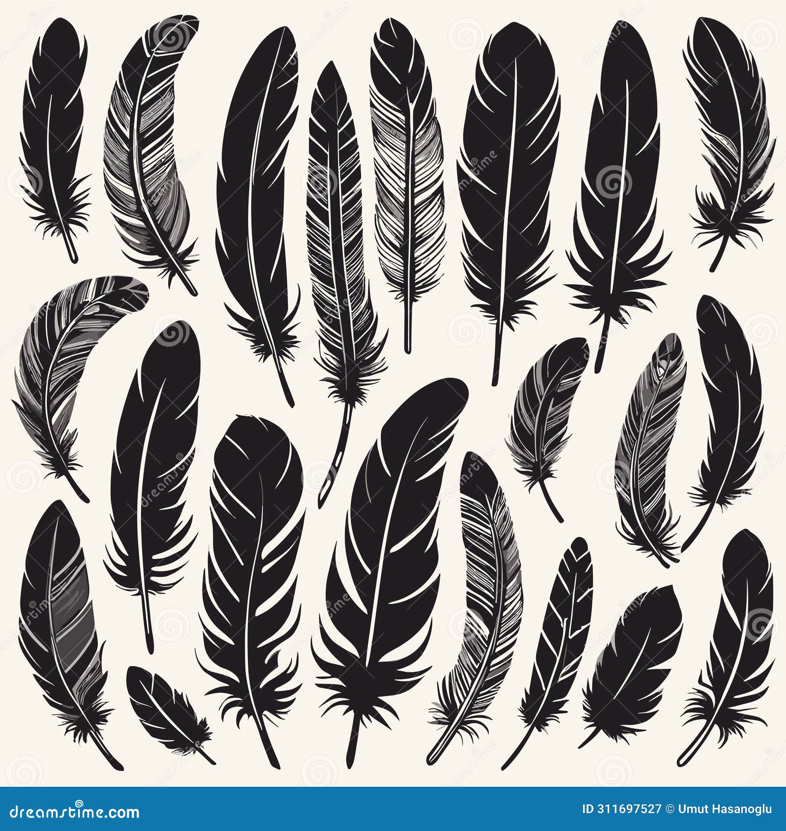 Collection of Intricate Feather Illustrations Pattern Vector Design ...