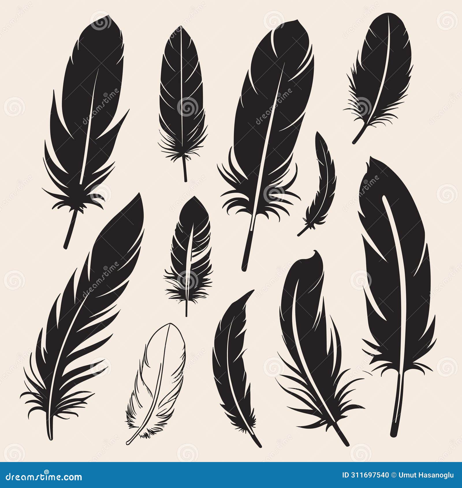 Collection of Intricate Feather Illustrations Pattern Vector Design ...