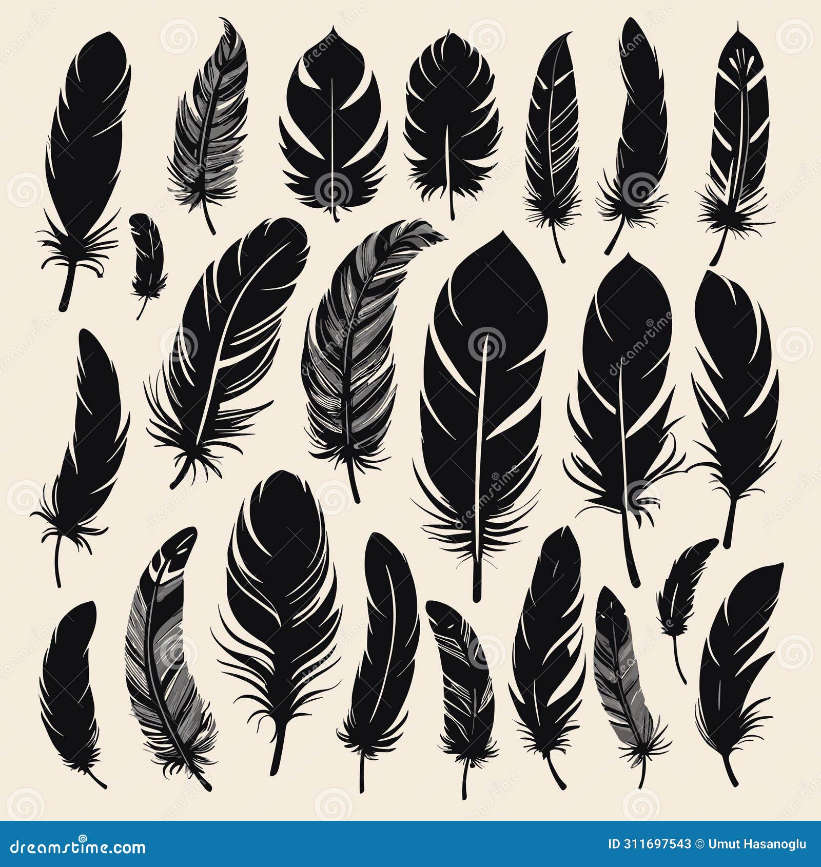 Collection of Intricate Feather Illustrations Pattern Vector Design ...