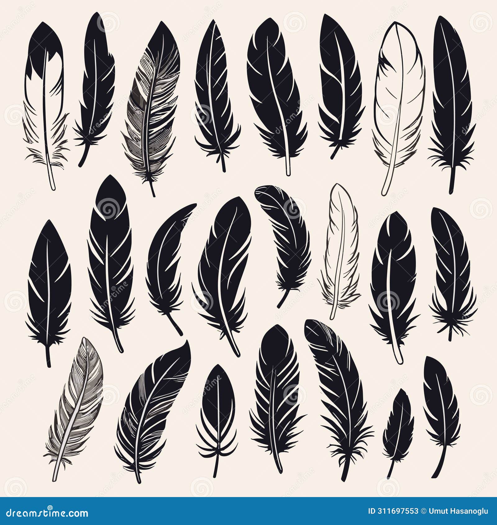 Collection of Intricate Feather Illustrations Pattern Vector Design ...