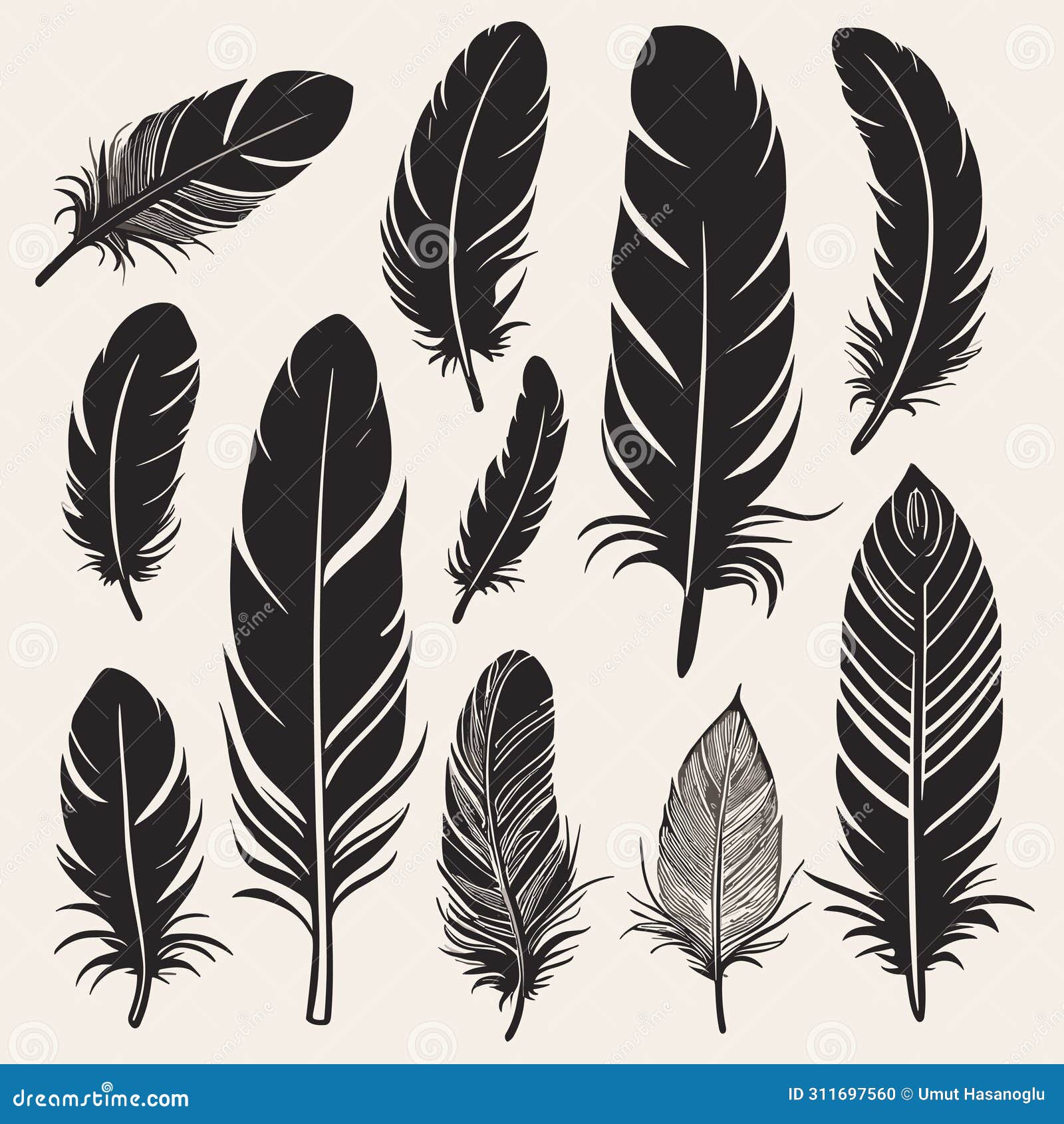 Collection of Intricate Feather Illustrations Pattern Vector Design ...