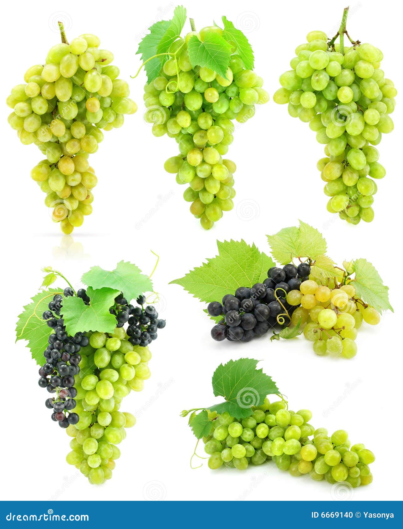 Collection of Isolated Grape Clusters Stock Photo - Image of healthy ...