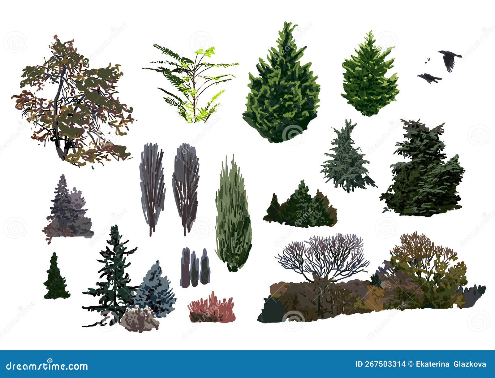 Coniferous And Deciduous Beautiful Forest, Silhouette Of Firs, Pines ...