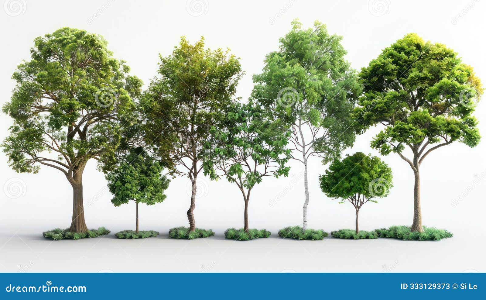 Isolated Trees Collection for Architectural Visualization and Garden ...
