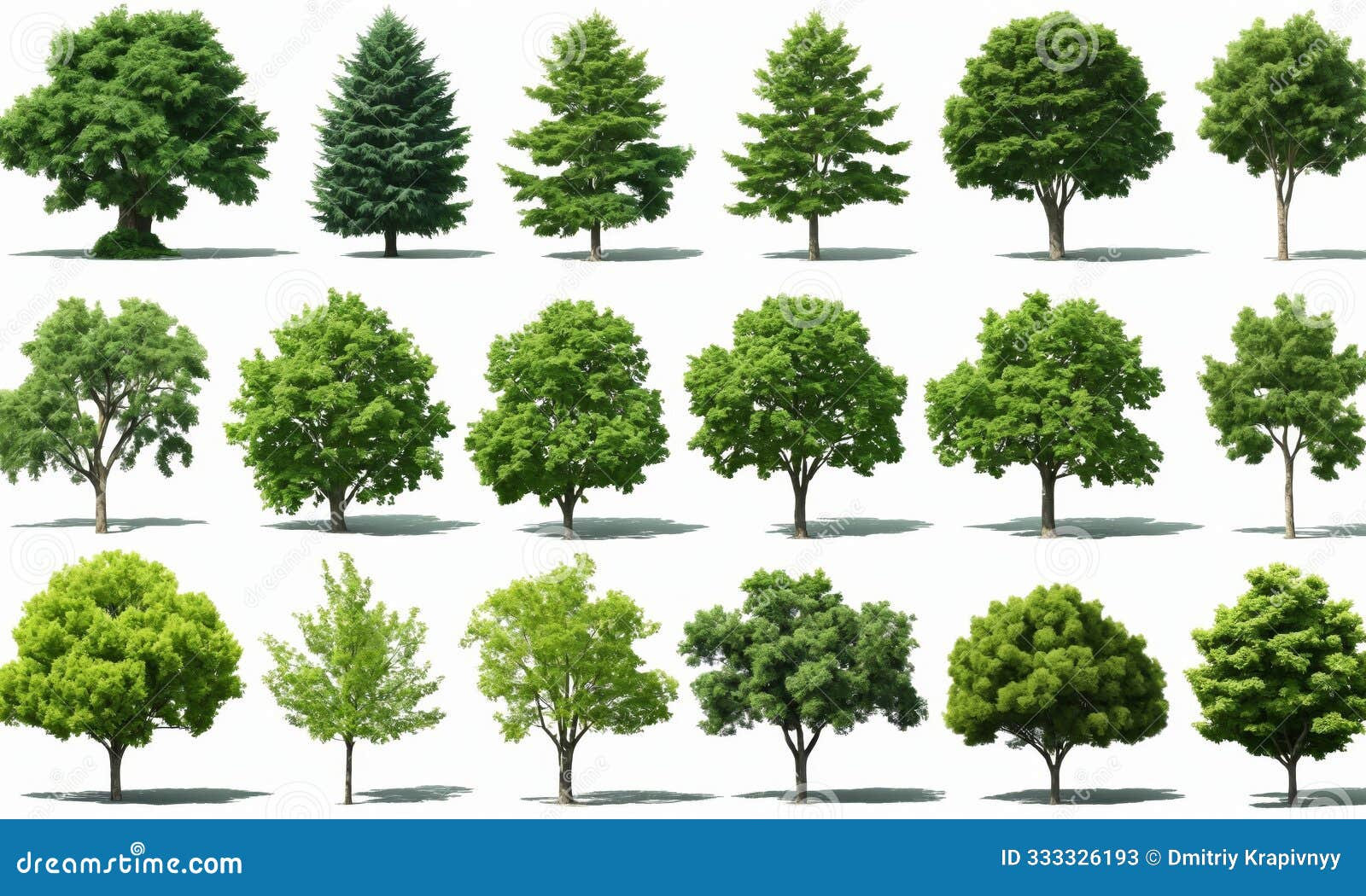 Collection of Isolated Trees on White Background Stock Illustration ...