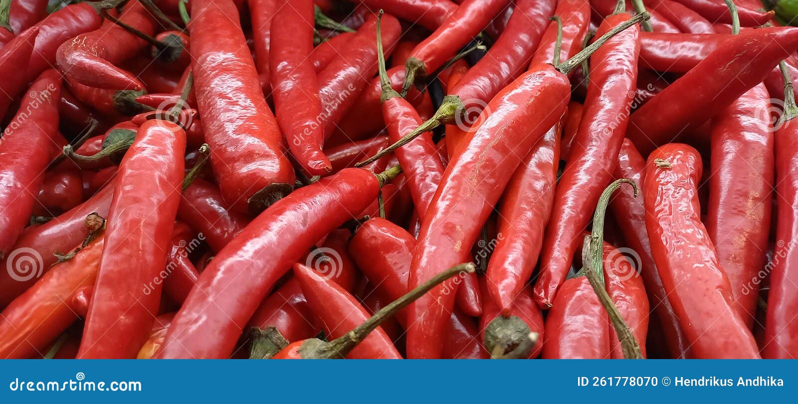 A Collection of Large Fresh Red Chilies Stock Photo - Image of spicy ...