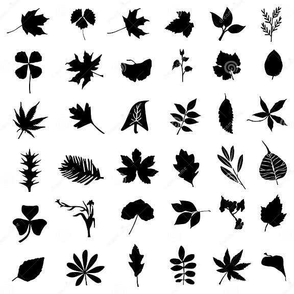 Collection of Leaf and Flower Vector Stock Vector - Illustration of ...