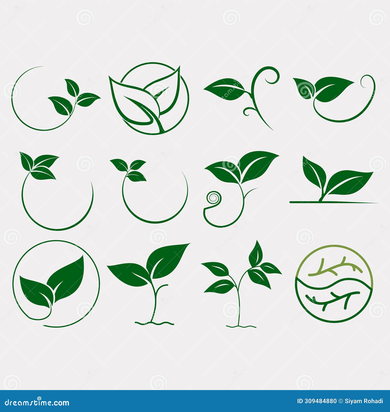 Collection of leaf logos stock vector. Illustration of logo - 309484880