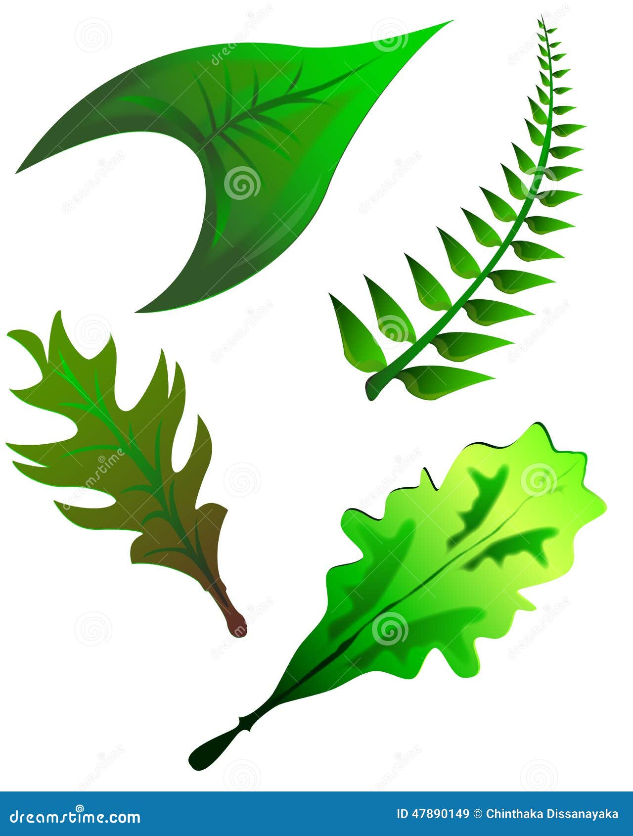 Collection of leafs stock illustration. Illustration of leaf - 47890149