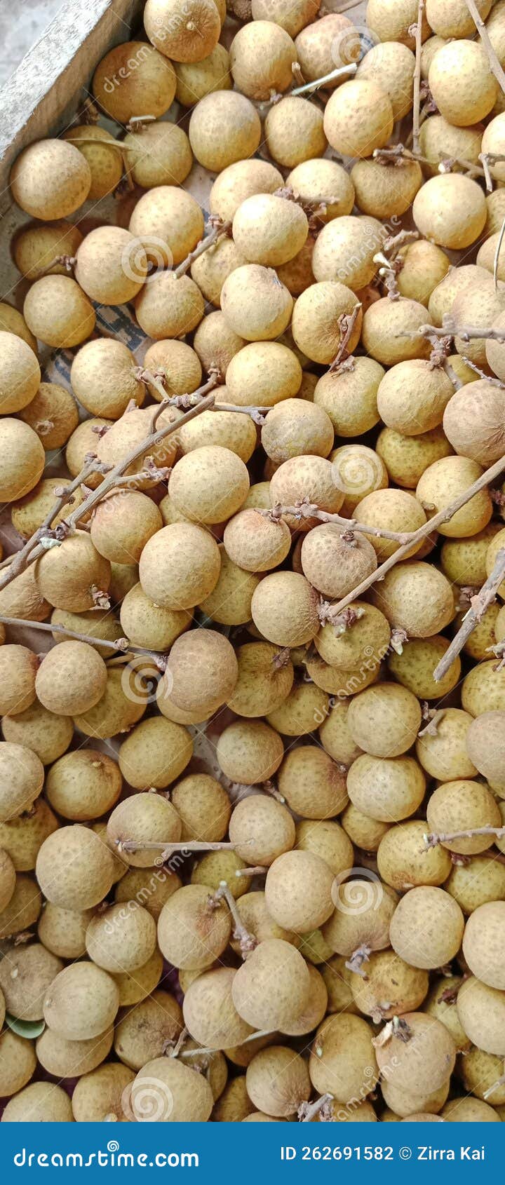 Collection of Litchi Ready To Eat Stock Photo - Image of flower, ready ...