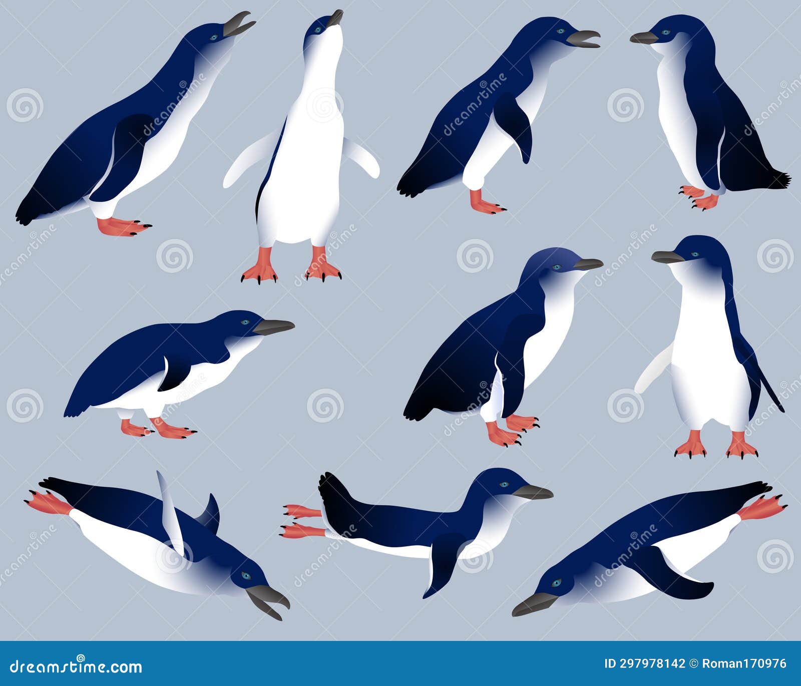 Collection of Little Penguins or Blue Penguins Birds in Colour Image ...