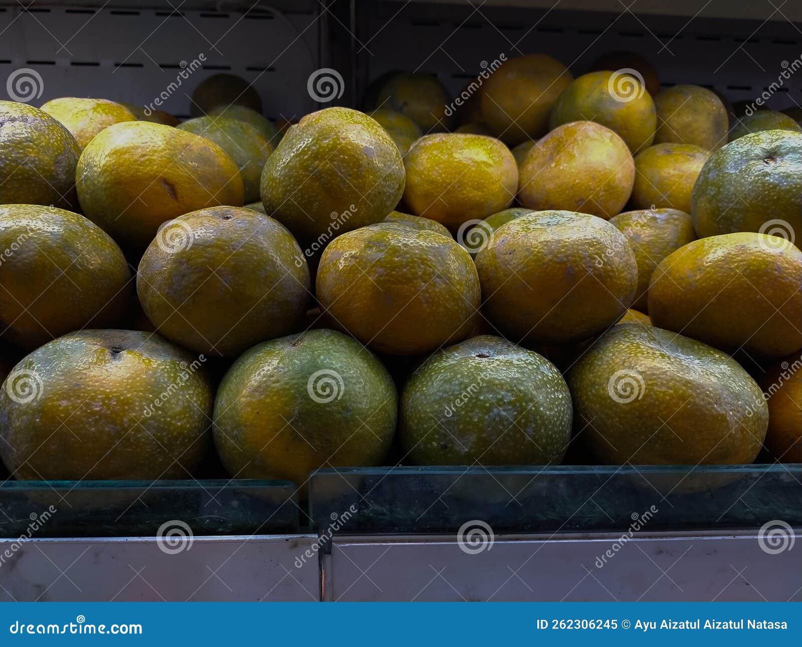 Collection of Local Orange in the Market Showcase Stock Image - Image ...