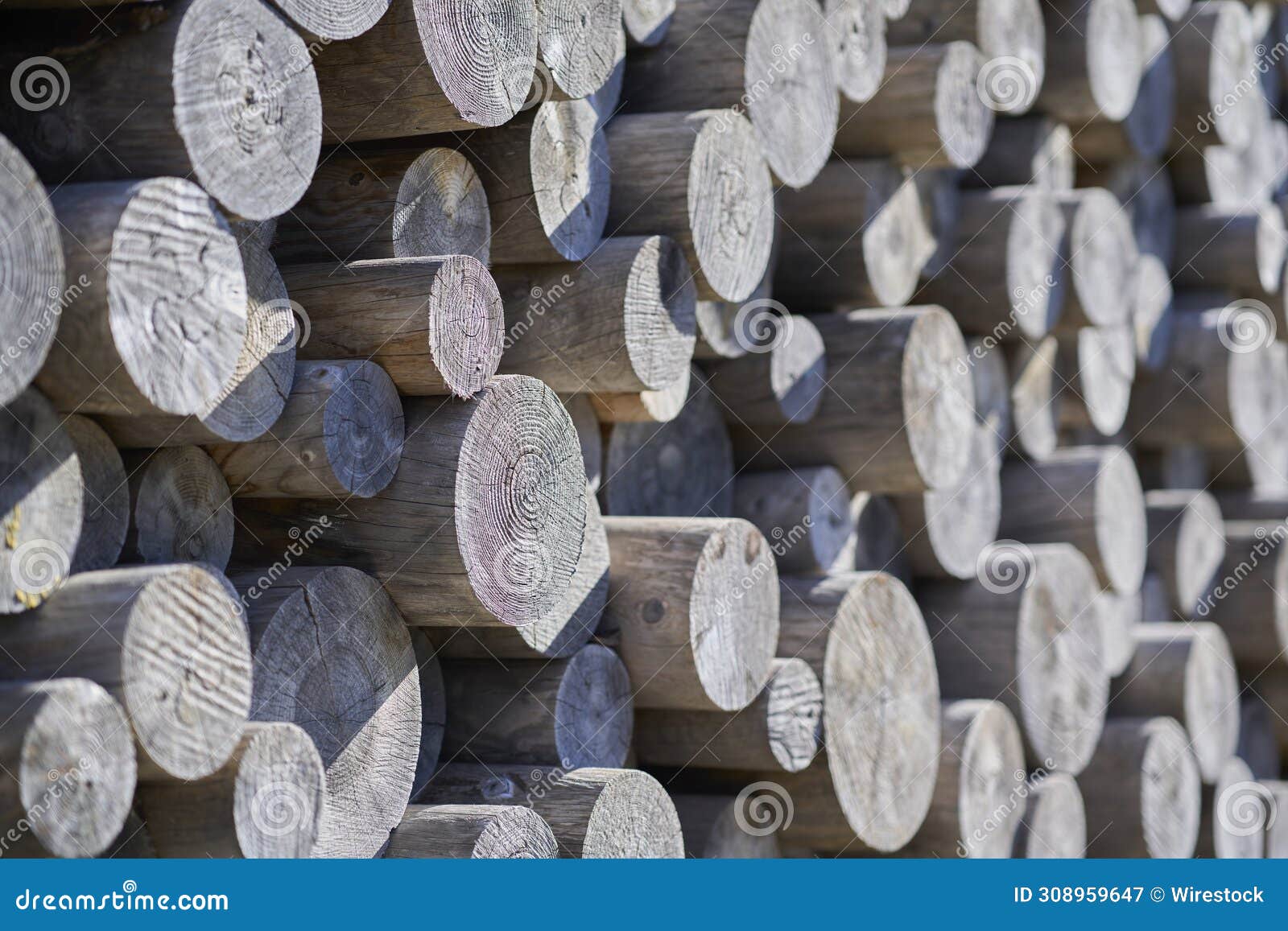 Collection of Logs Stacked on Wooden Poles Stock Image - Image of ...