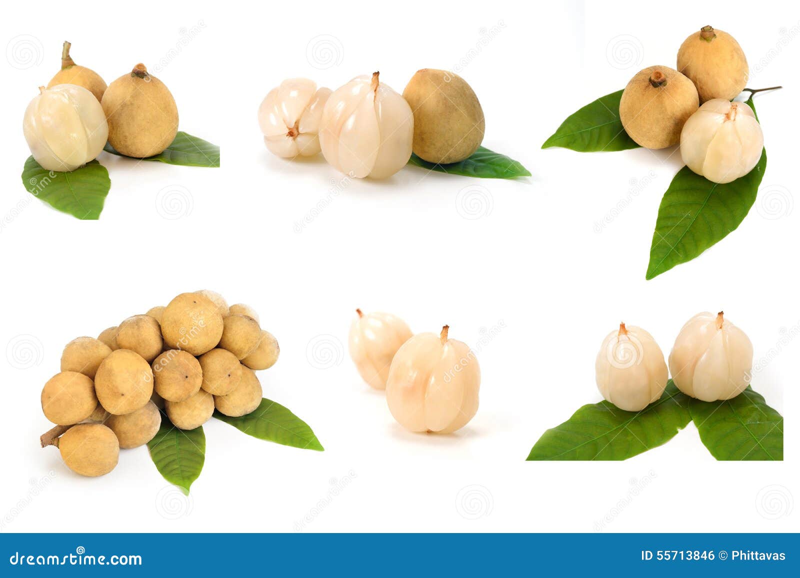 Longkong ,Langsat Or Lanzones Fruit Is Endemic To Southeasia Stock ...